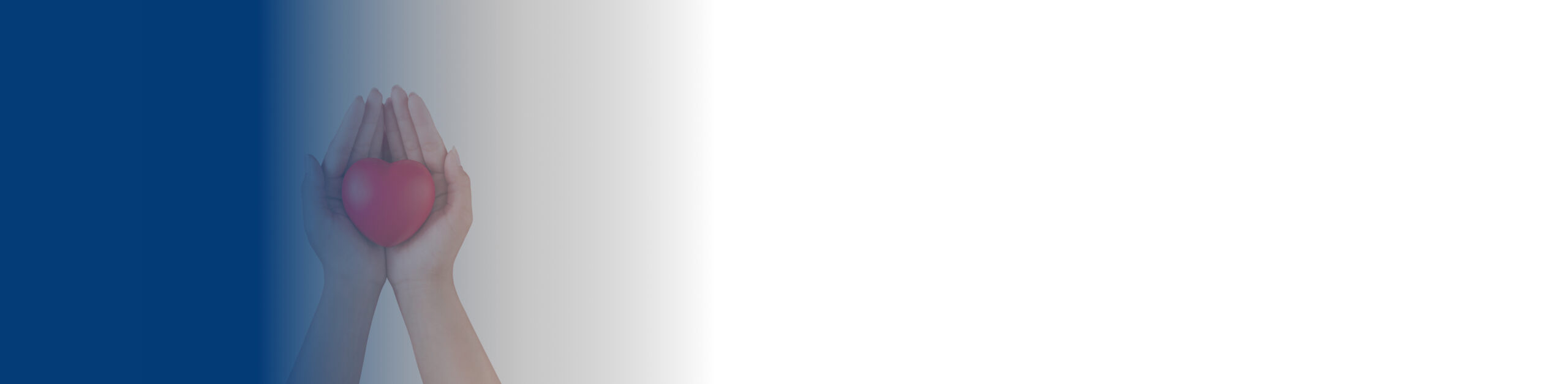 Gray Line - I Love Rome, Tours and Visits